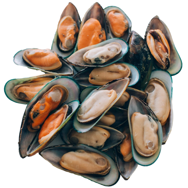 Canadian Blue Mussels – Oceanfreshfood