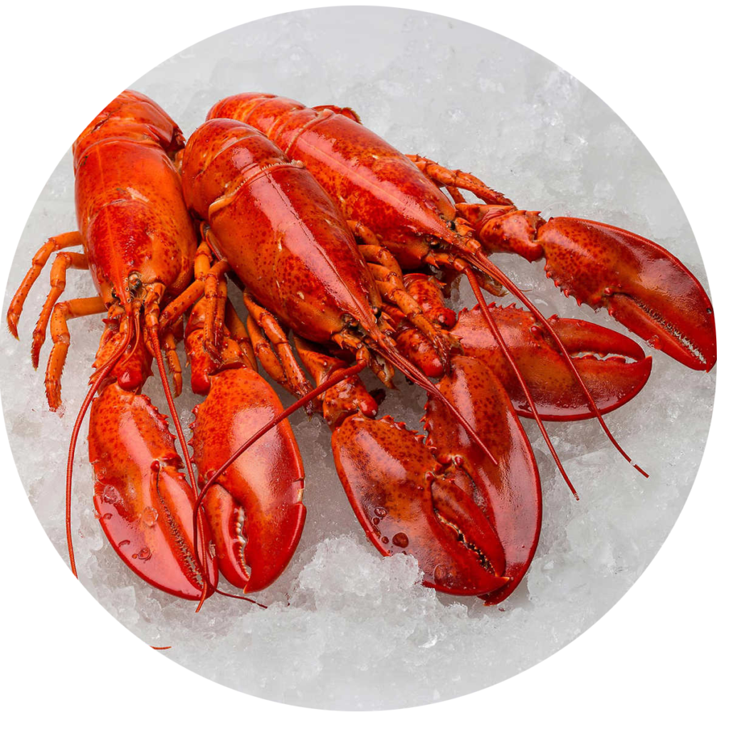 Our Products – Oceanfreshfood